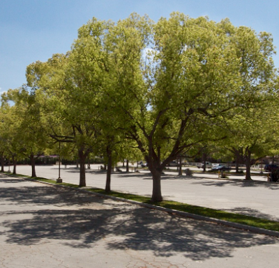 Why Arizona Commercial Landscaping Is Rocking! | by sextonlandscaping ...
