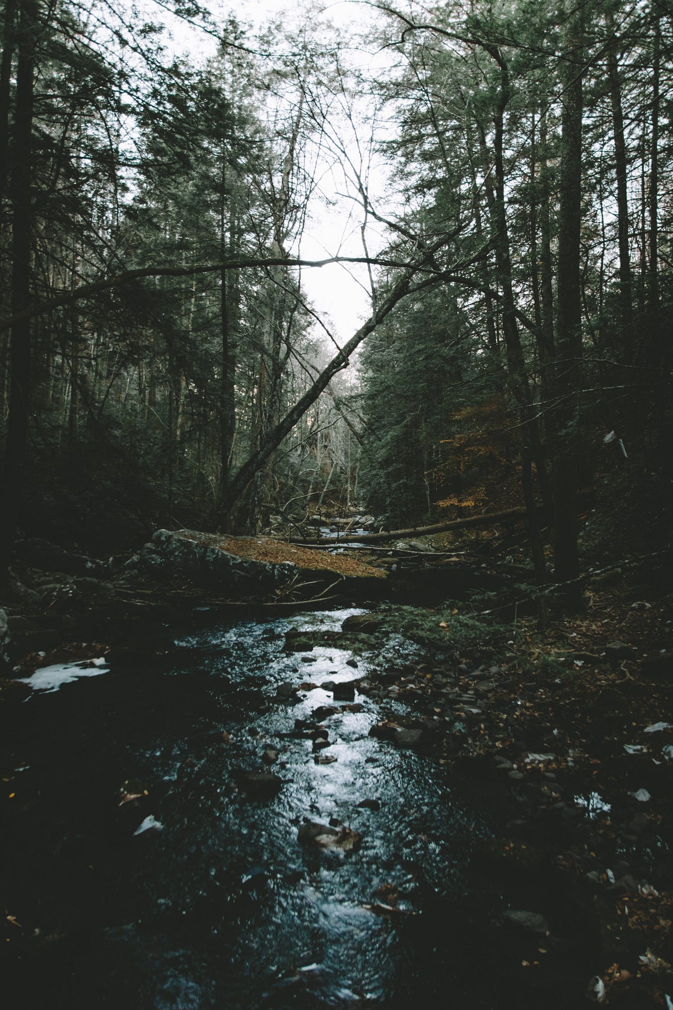 The Power of Words. A study of scripture to soften our… | by Jokshan ...