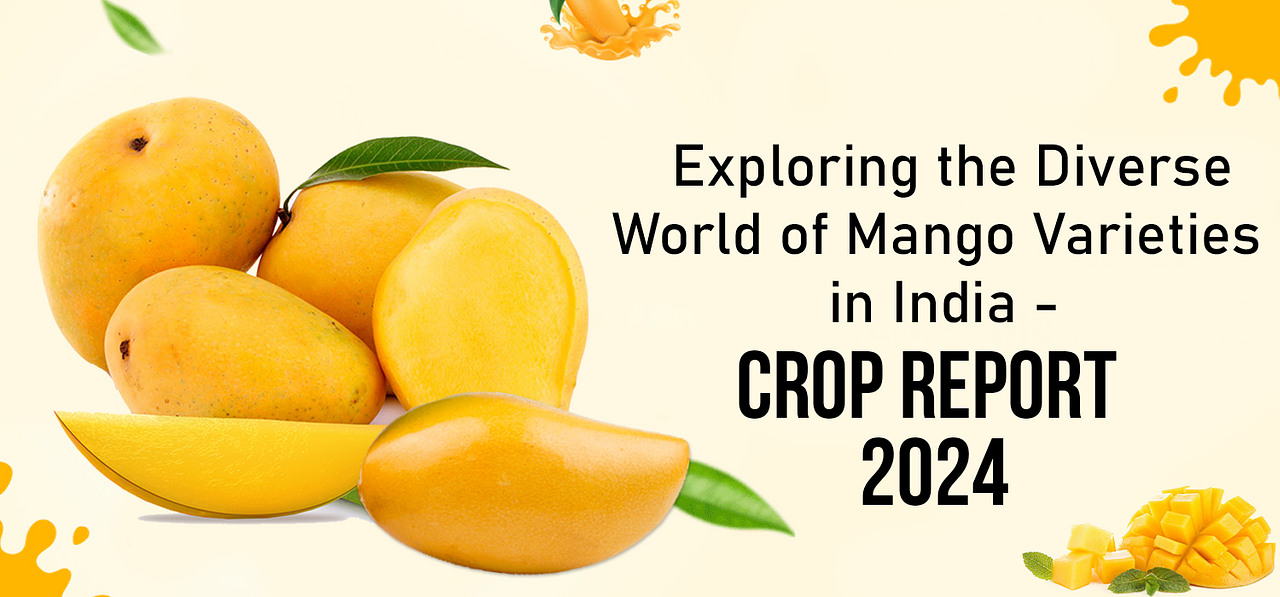 Benefits Of Consuming Mangoes & Recipes To Try With Mango Puree | by ...