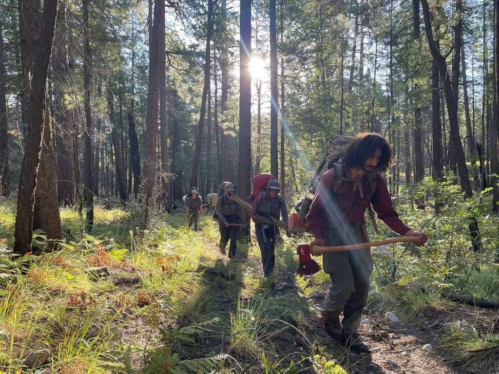 HLS Streaming: A Comprehensive Guide 2024 | by Paul Goll | Medium