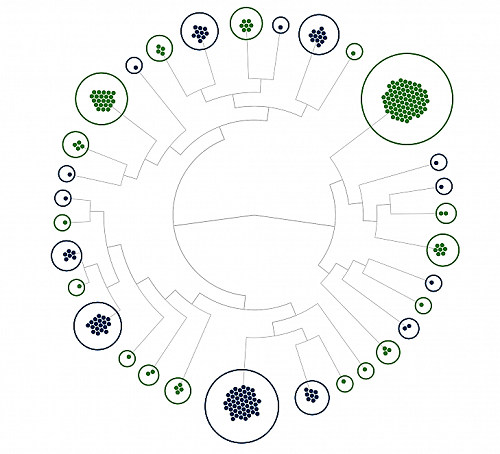 Linear Classifiers: An Introduction to Classification | by Imdadul ...