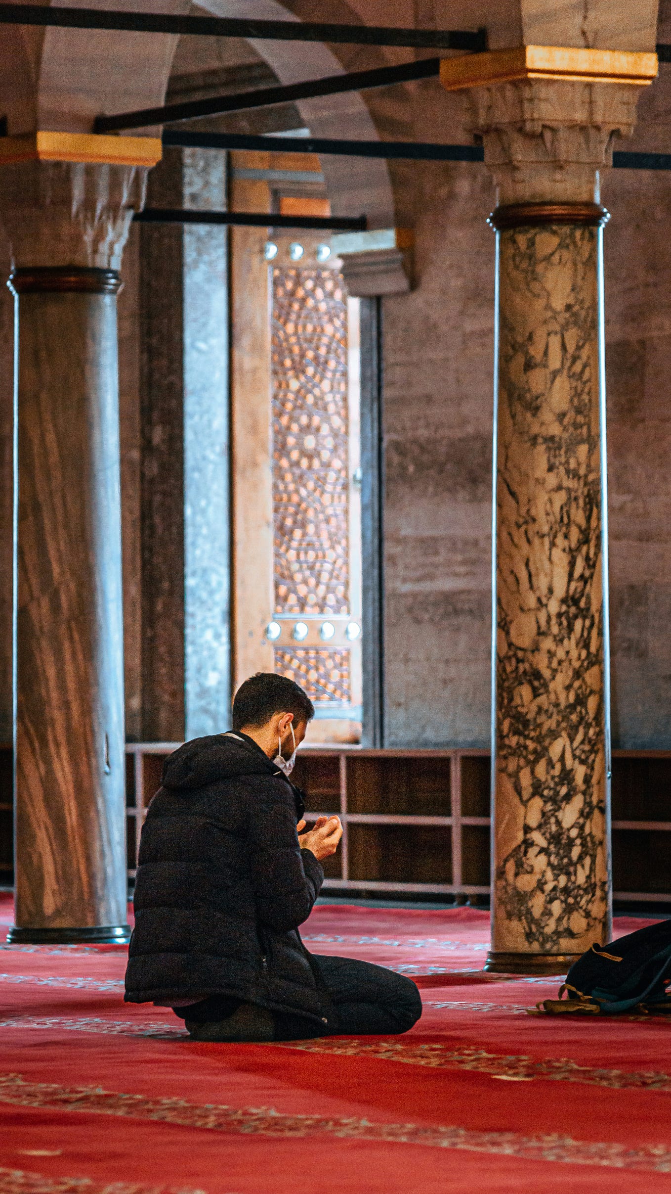 20 Biological Miracles In The Quran — Part II | by Maktab Ul-Islam | Medium