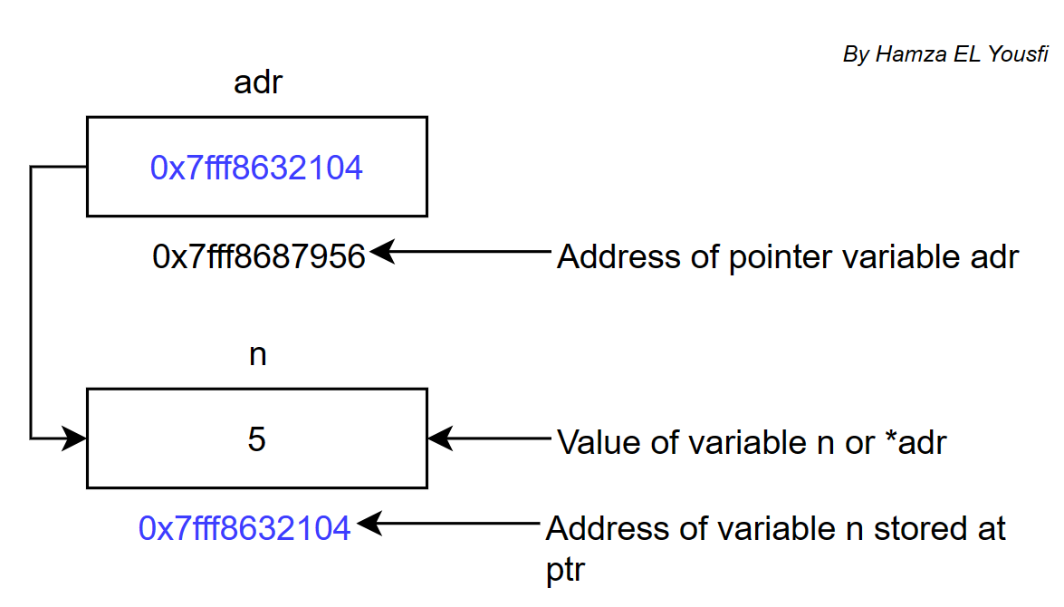 A Comprehensive Roadmap to Programming Mastery | by Interrupt101 | Medium
