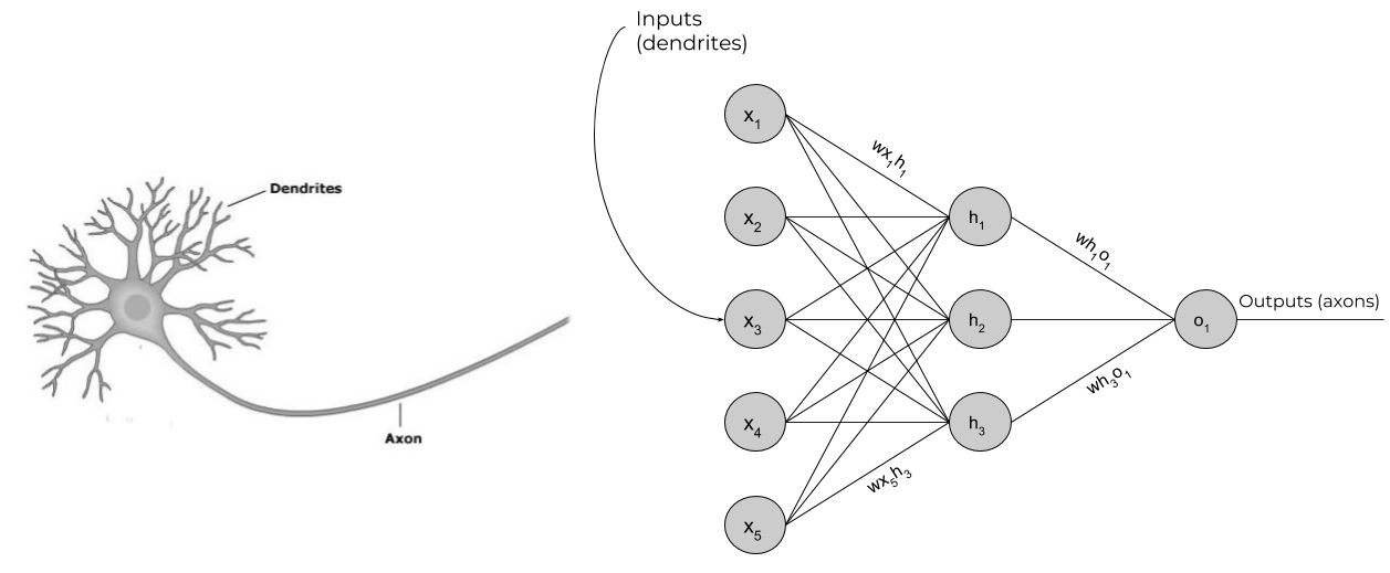 Exploring Embedding spaces with my photo library | by Guillermo Carrasco | Medium