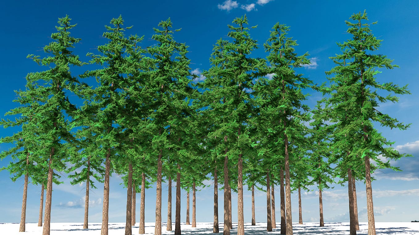 Mit Blender einen Baum erstellen | by Simon | Medium