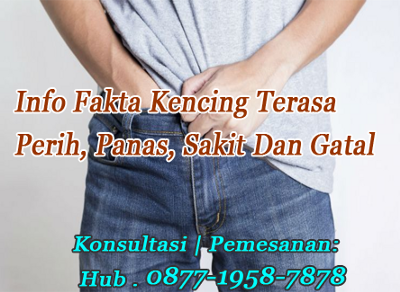 70 Penyebab Gejala Kelamin Sakit — Panas — Nyeri Saat Kencing Pada Pria ...