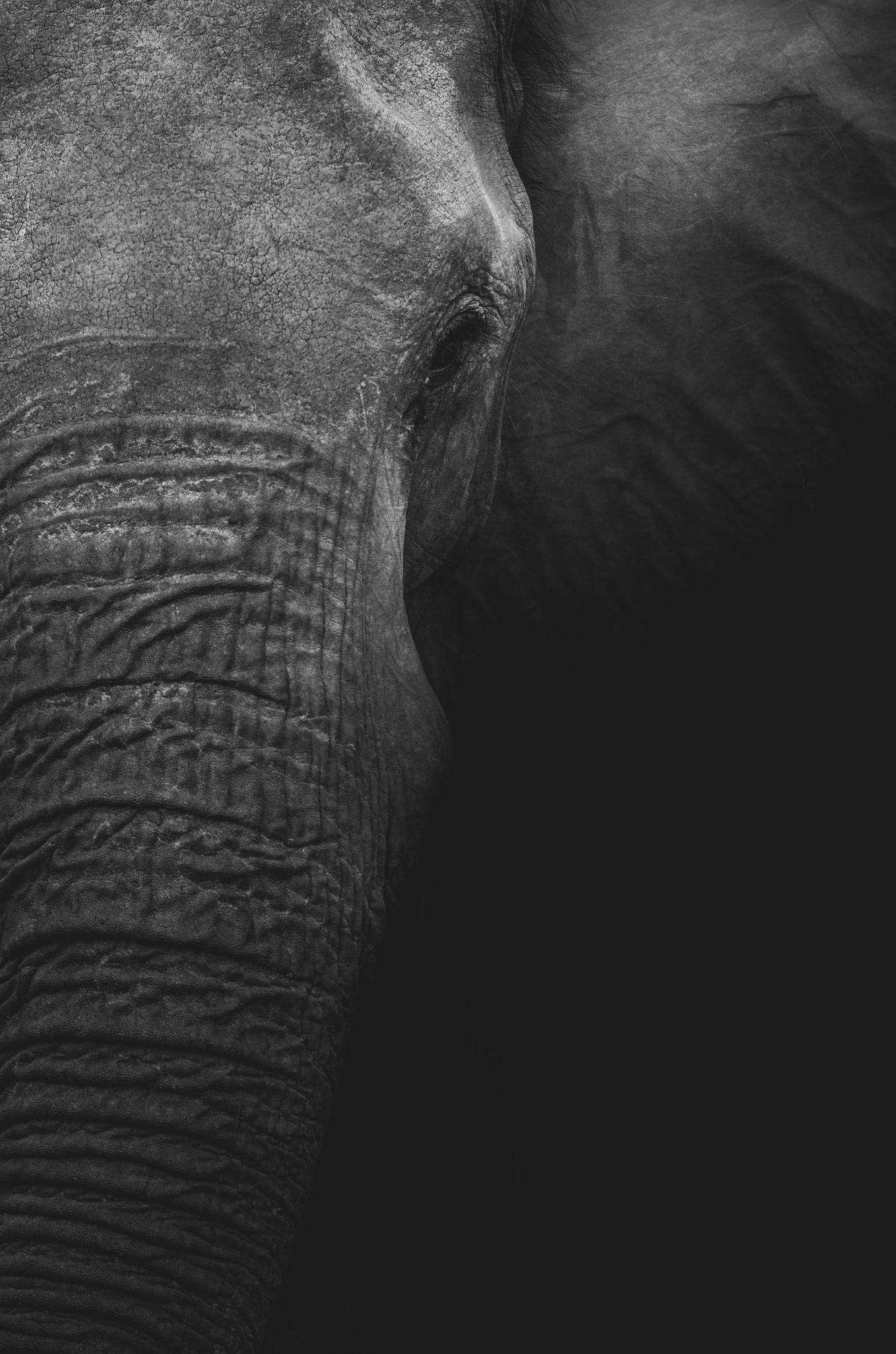Developing Multi Nodes Hadoop Spark Cluster And Airflow In Docker Compose Part 2 By Ayyoub 8579