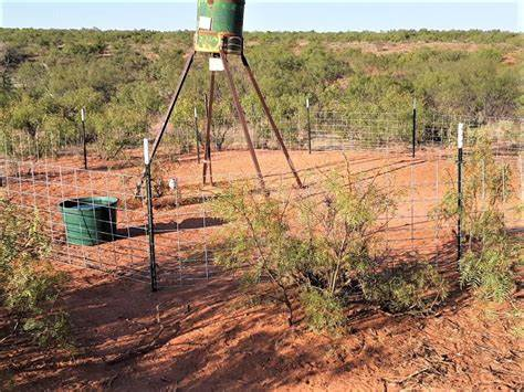 Chapter 7: Long Story Short | by Janie Dean | Medium