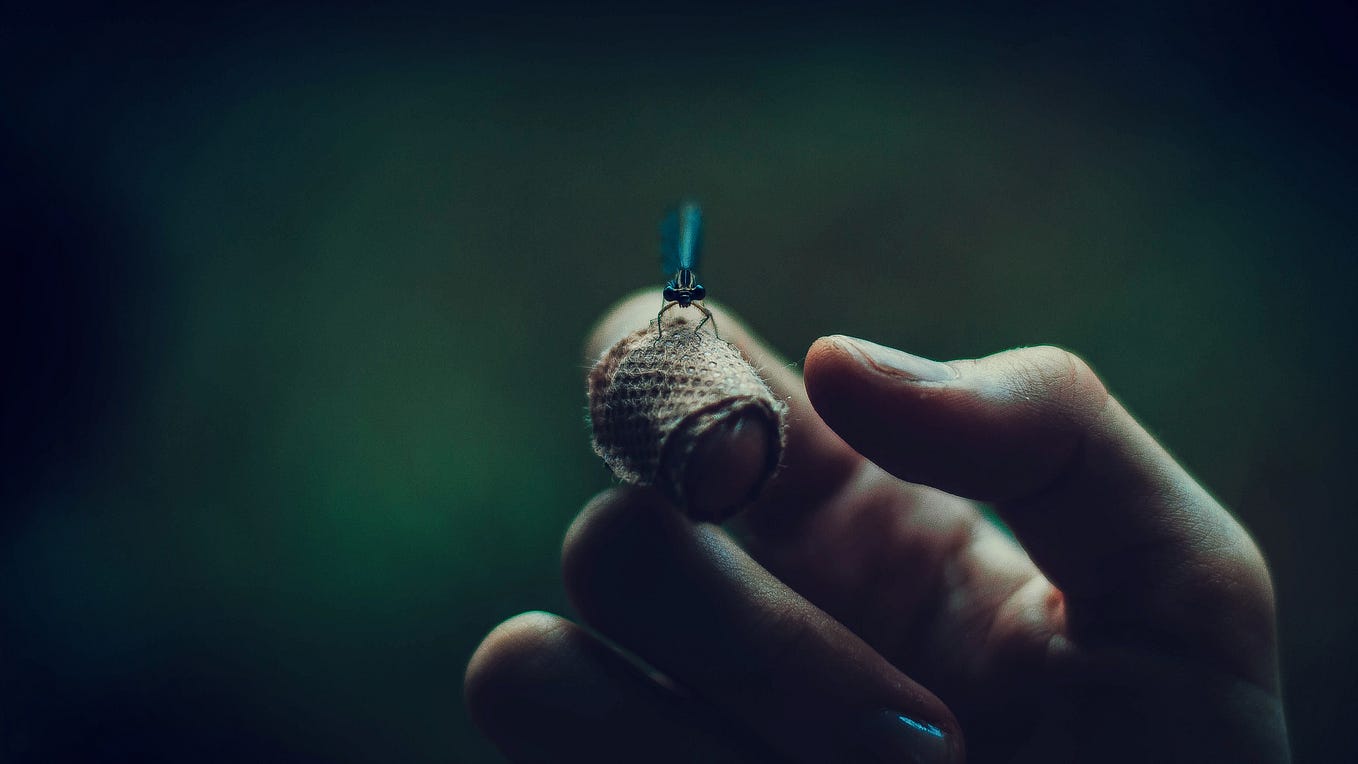 How To Run A Python Script On Insertion Of A Usb Device By Daniel 