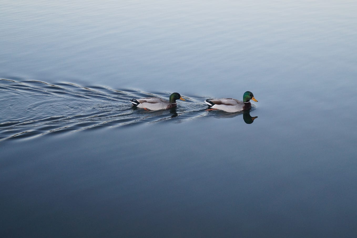 Sap Datasphere — How Do Data Flows Transformation Flows And Replication Flows Differ By