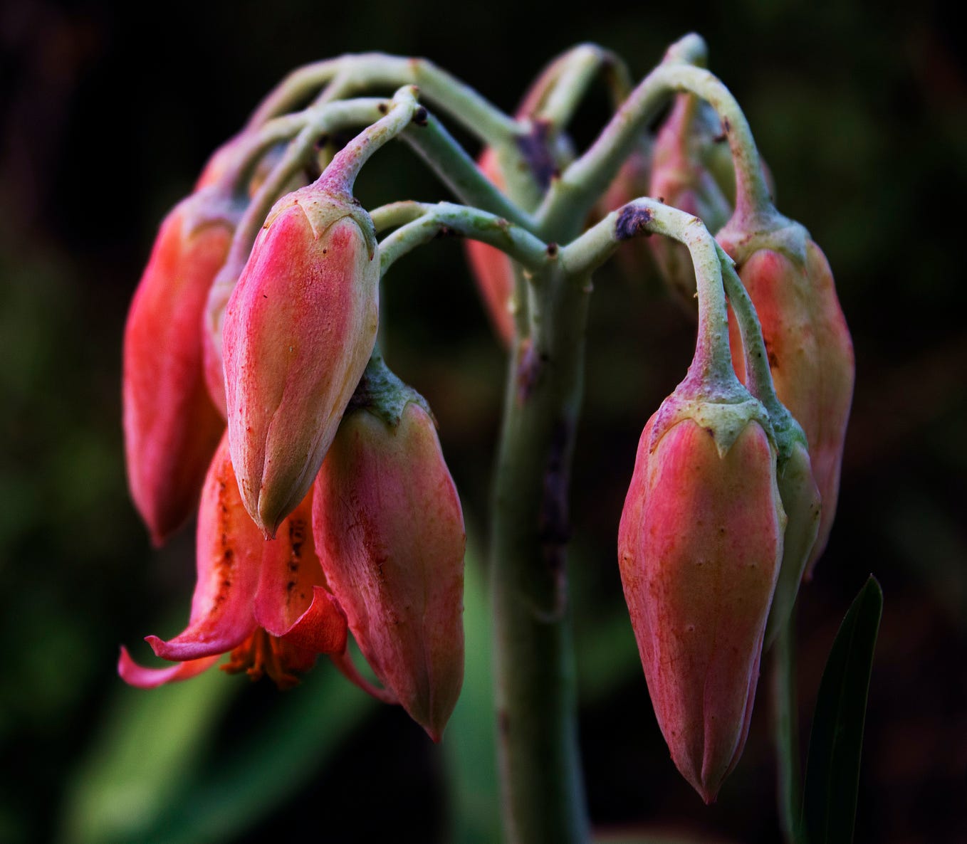 You must be a better writer… where are all of your Medium stories? | by ...