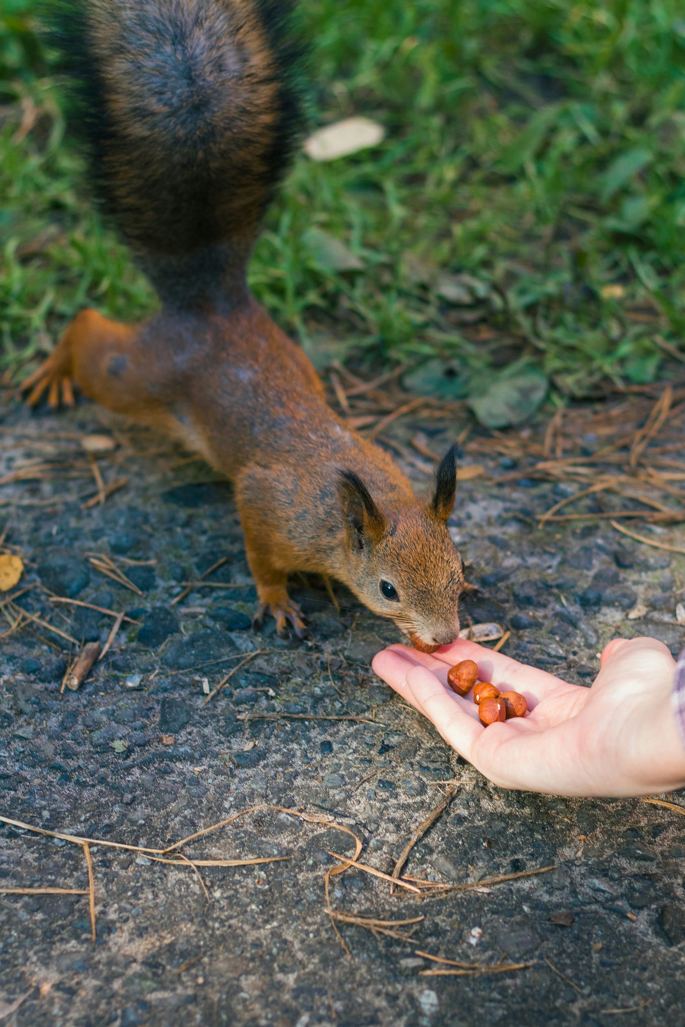 One Sneeze Away. Biting his lower full brown plump lips… | by Meta ...