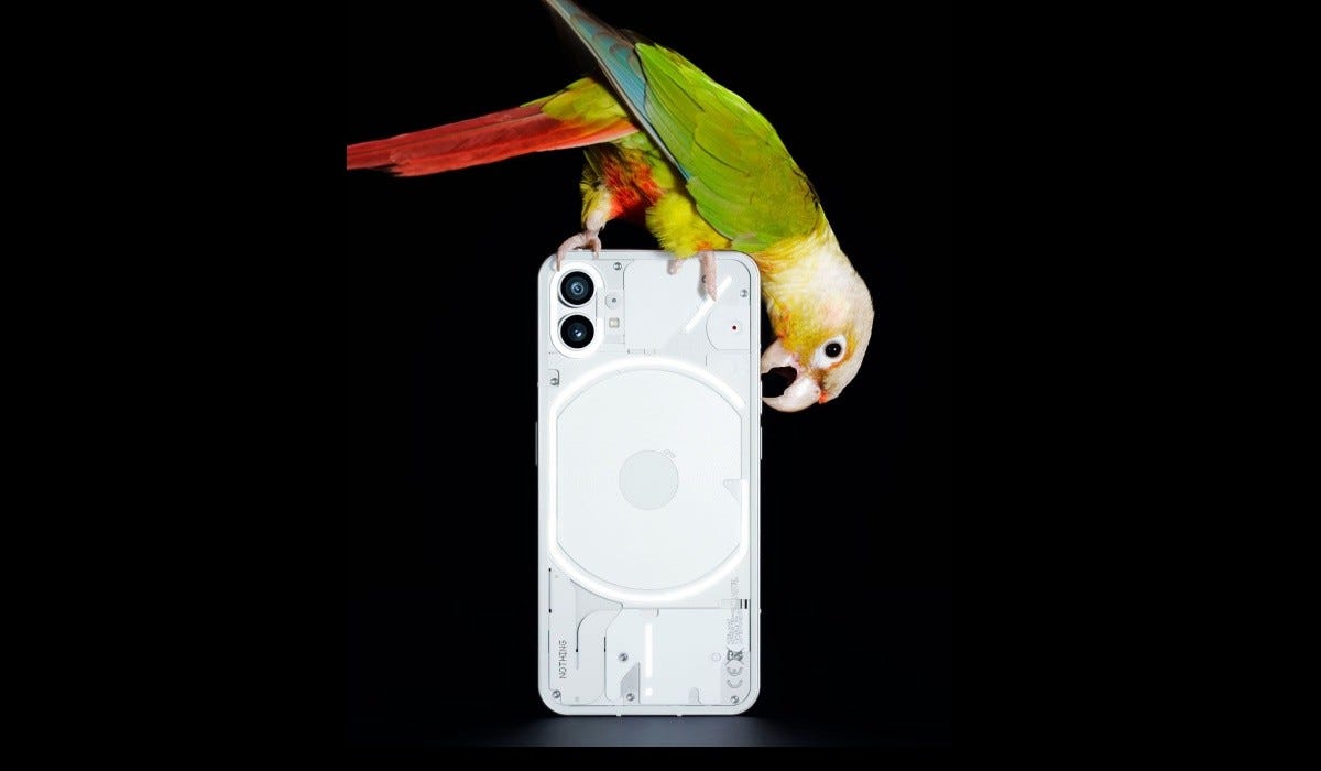 The Story of Kodak: The Forgotten Photography Monster | by Dhruv Hegde ...