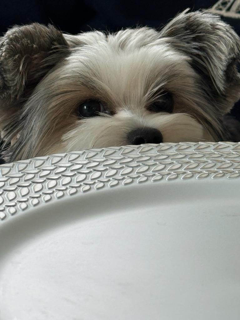 Sounds great! Count me in! - Ken Van Camp - Medium