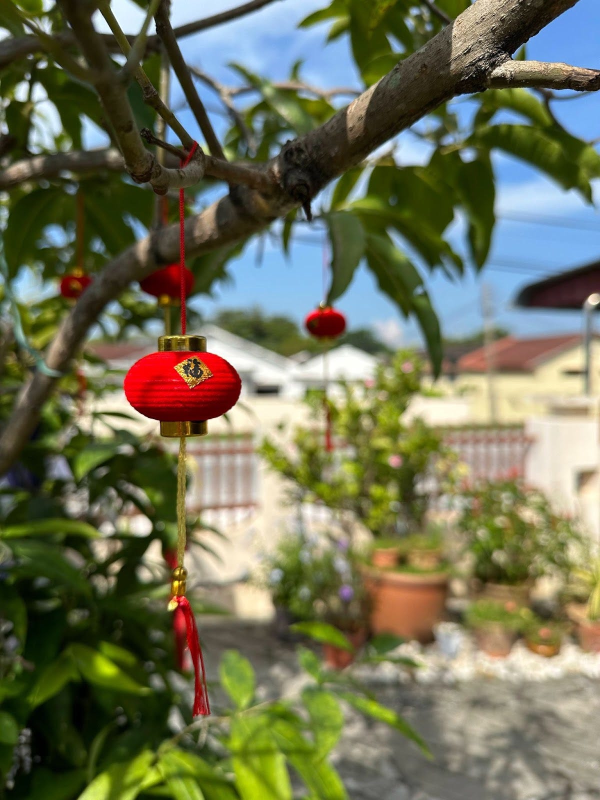 Chapter 23: Merdeka. Available on Amazon… | by LiveRunGrow | The House ...