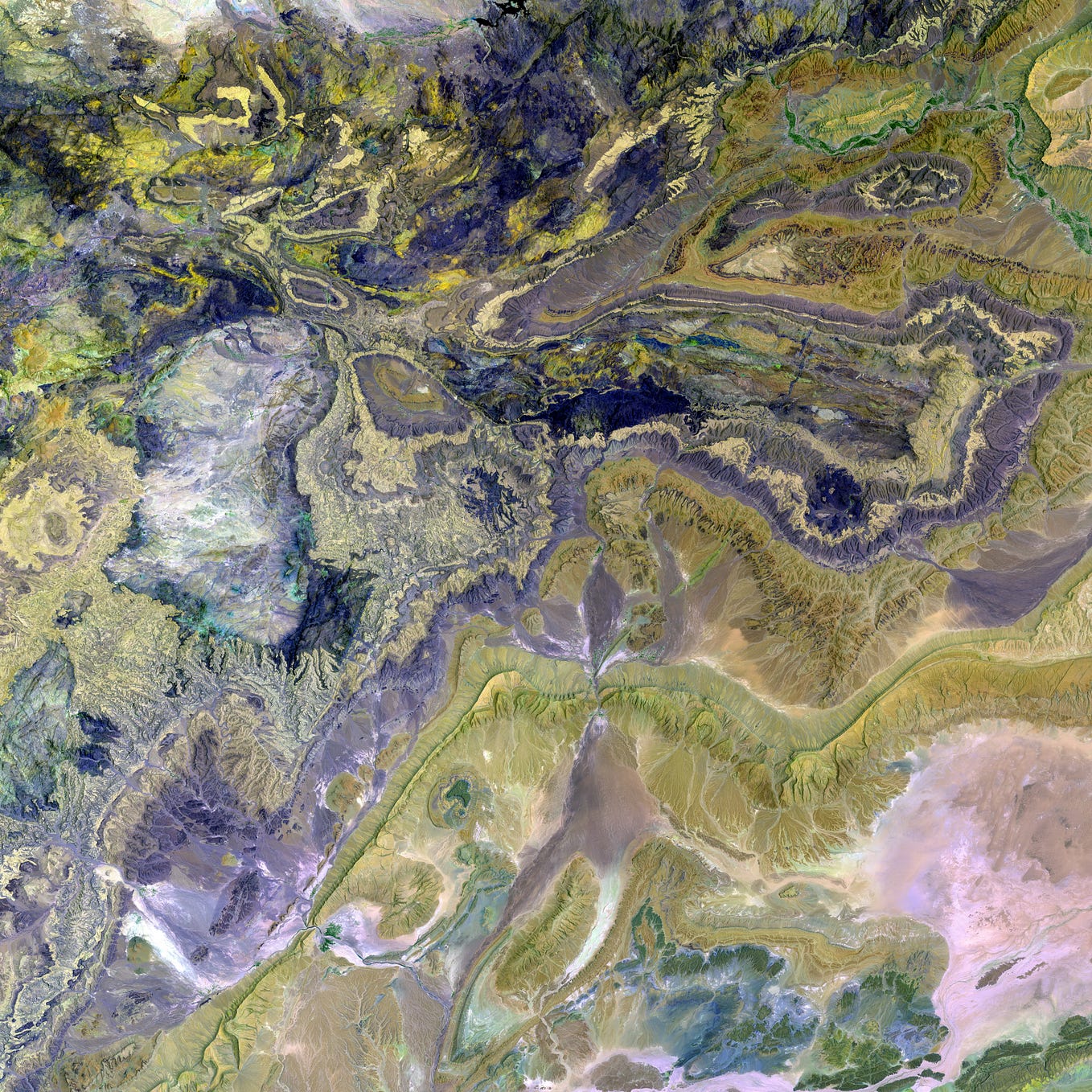 Building and Training a Neural Network with PyTorch: A Step-by-Step ...