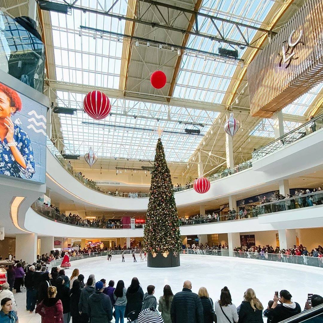 When siblings act as parents, the impacts are long lasting | by Rose ...