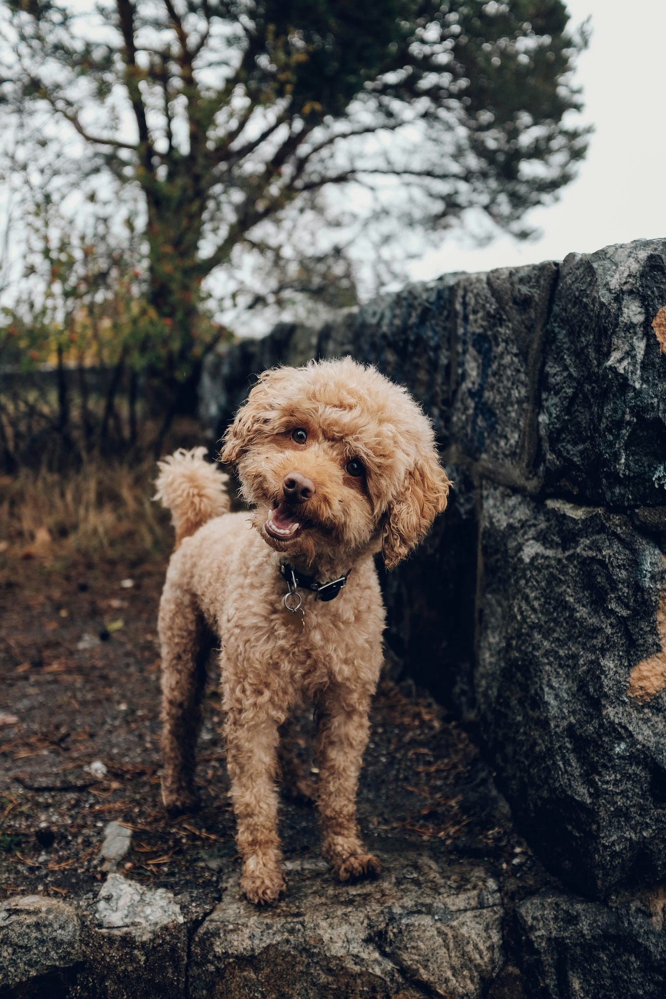 5 Reasons Why You Should Spend Time with Your Parents This Holiday | by ... 5 Reasons Why You Should Spend Time with Your Parents This Holiday | by ...