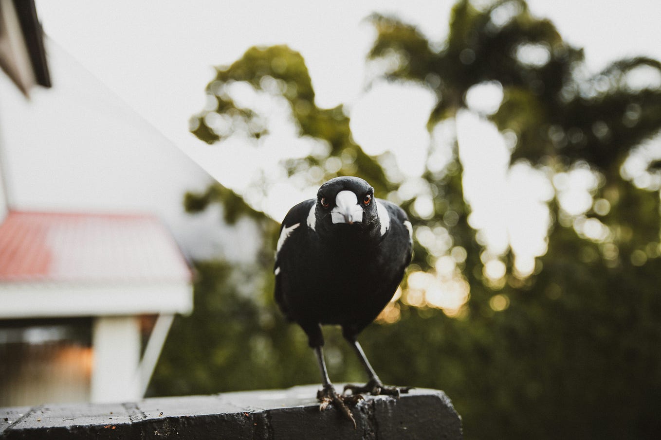 It's so important. Listening to your body can not only prevent injuries ...