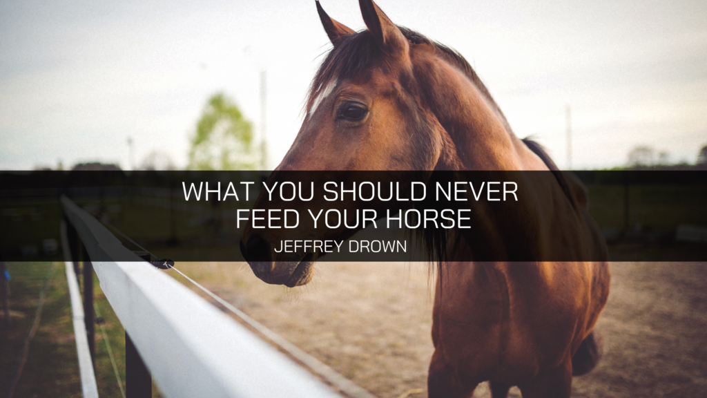 About Jeff Drown. Mr. Jeffrey Drown of Minnestoa is the… | by Jeff ...