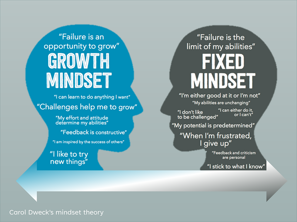 Using The Real-Win-Worth Model To Quantify The Value and Risk Of New ...