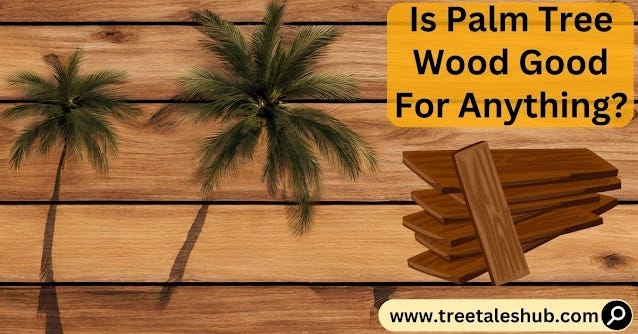 The Ultimate Guide to the Cardboard Palm Tree | Medium