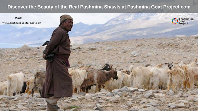 The Exquisite Artistry of Kashmiri Pashmina Shawls: A Closer Look at the Pashmina Goat Project ...