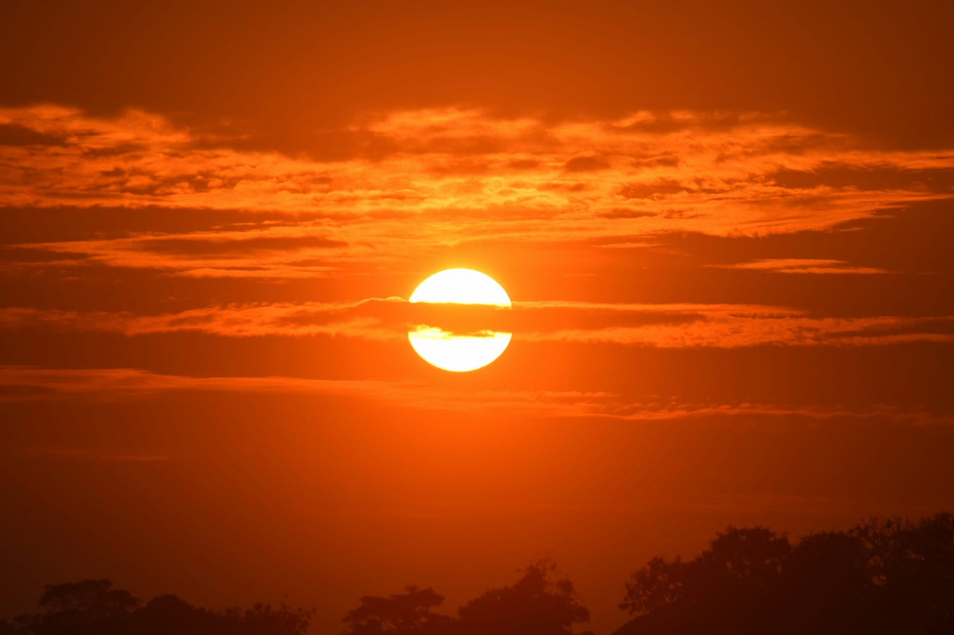 i’m used to losing and giving in. maybe that’s why i no longer have… | by avi | Medium