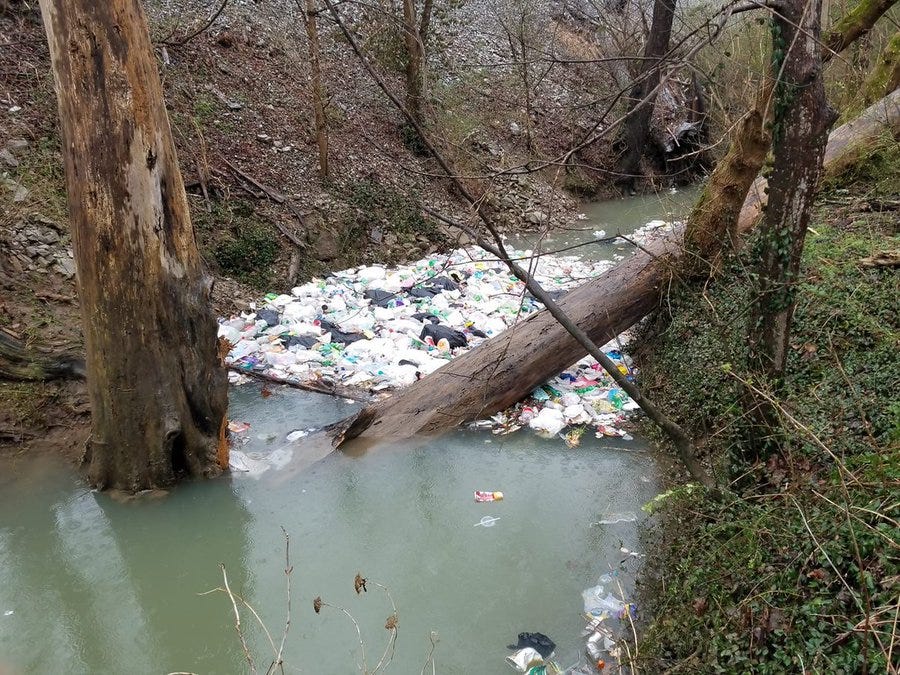 Sustainability at The University of Tennessee | by Mya Thiel | Medium