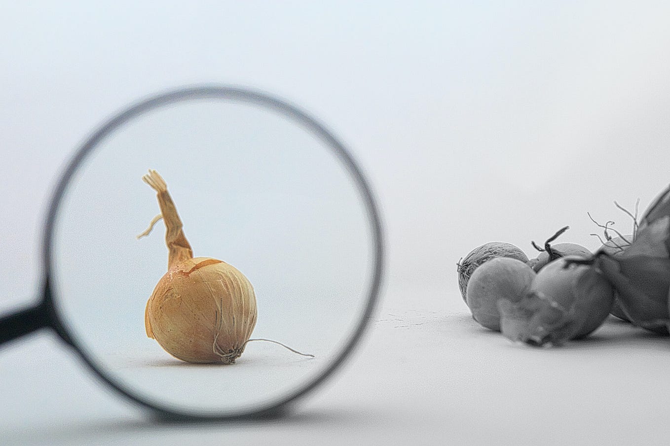 Understanding Value Pluralism: A Comprehensive Guide | by Blake J Wise ...