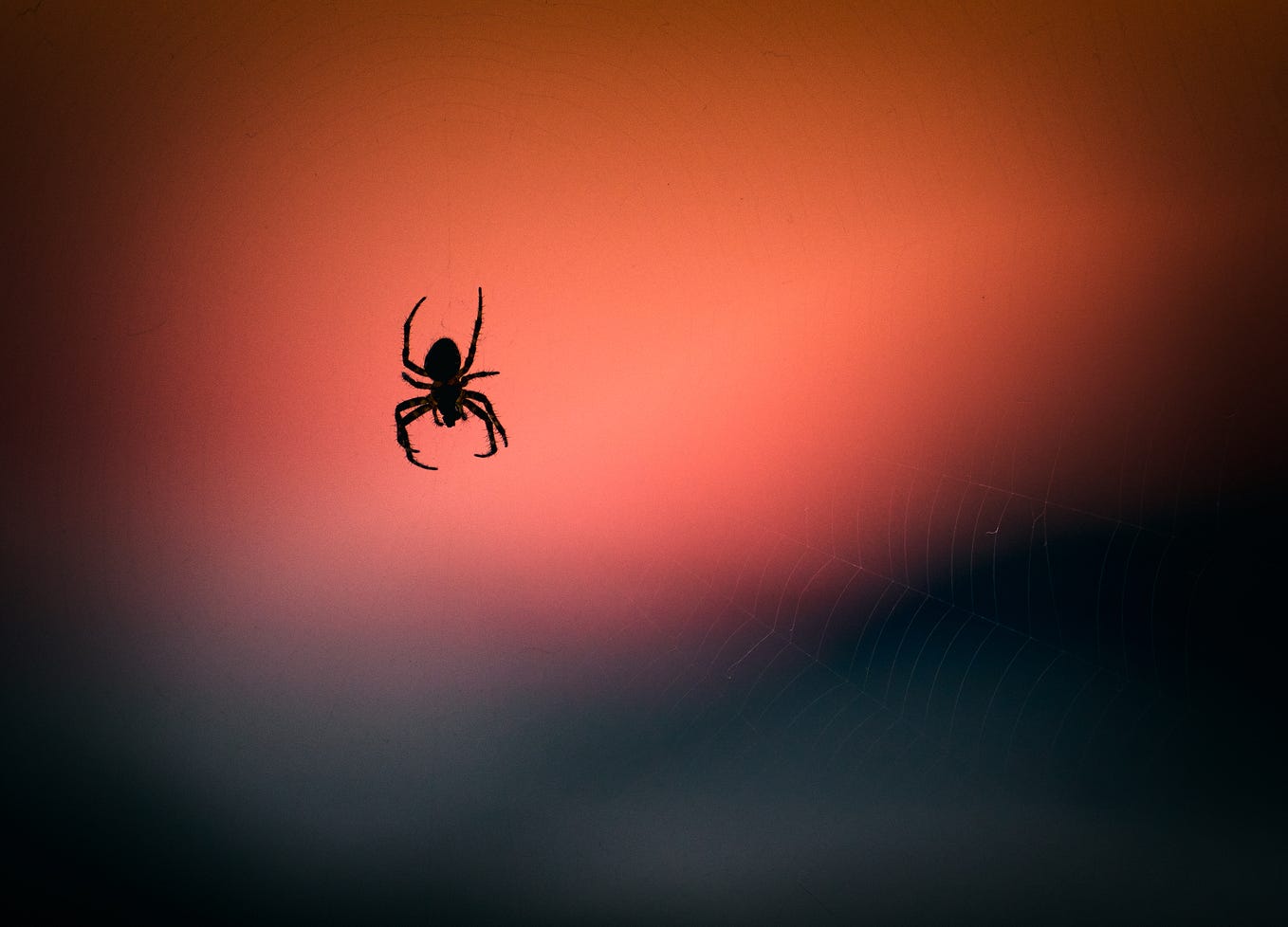 Beginner To Advance — Web Scraping Guide In Python Build And Deploy A Python Web App Using