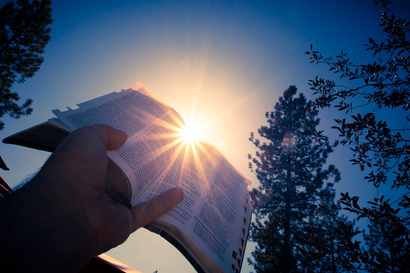 Christian, Christ, Christianity, Jesus, Righteous living | Mustard Seed ...