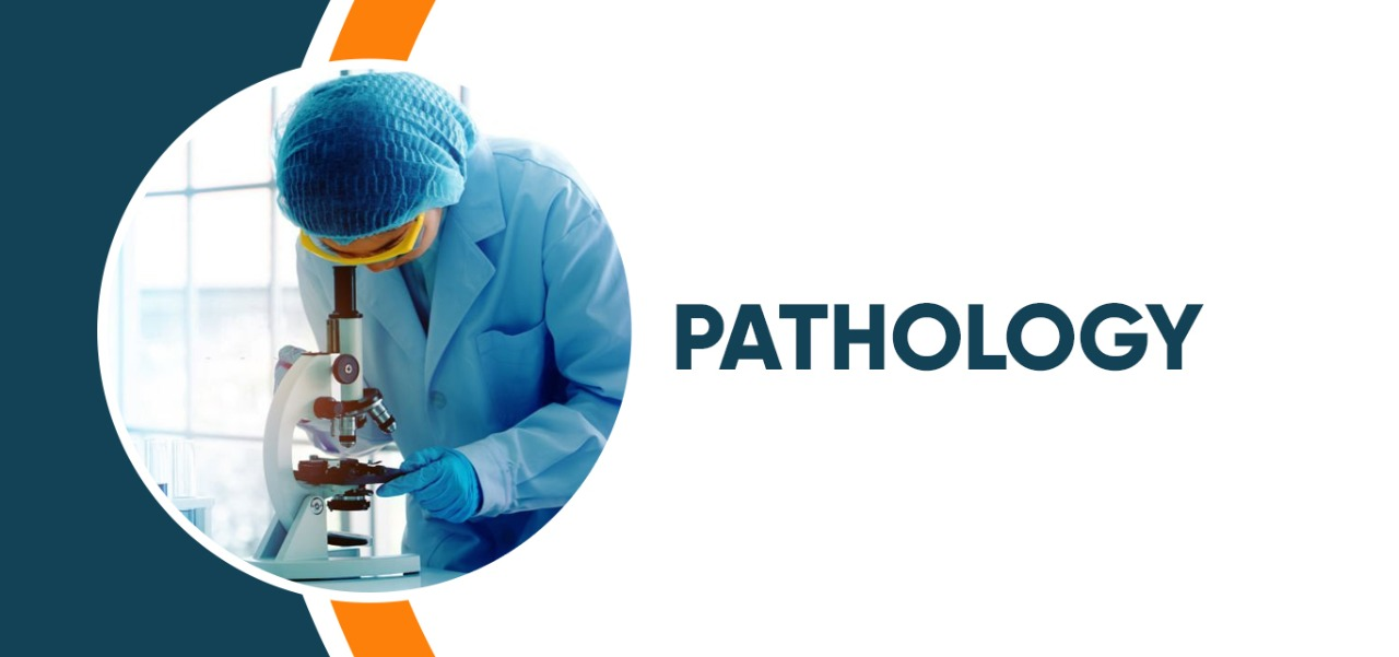 Comprehensive Health Screening at Eureka Pathology Lab Hba1c Insulin ...