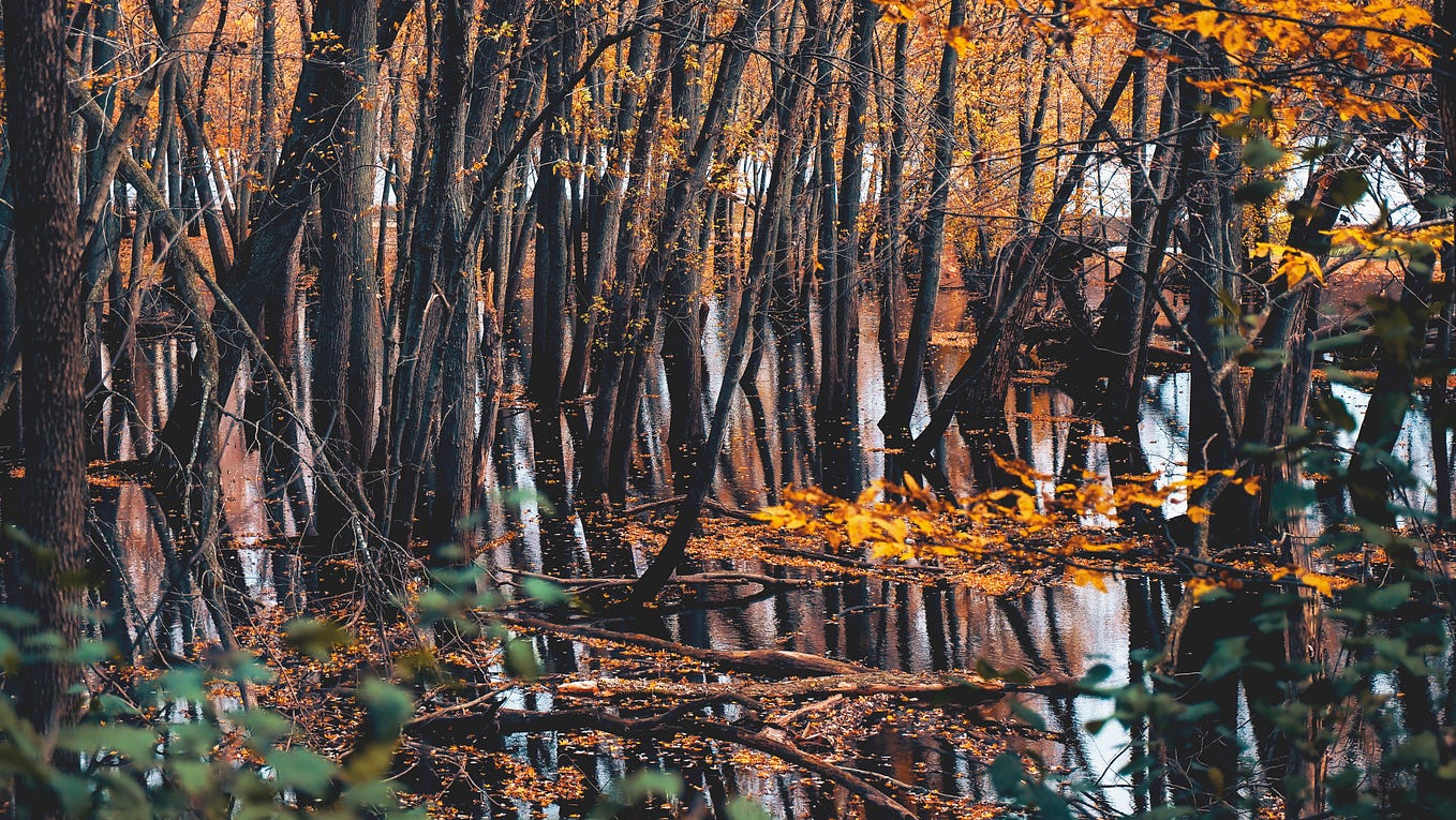 An Introduction To Multiprocessing Using Python By Sieun Park Codex Medium