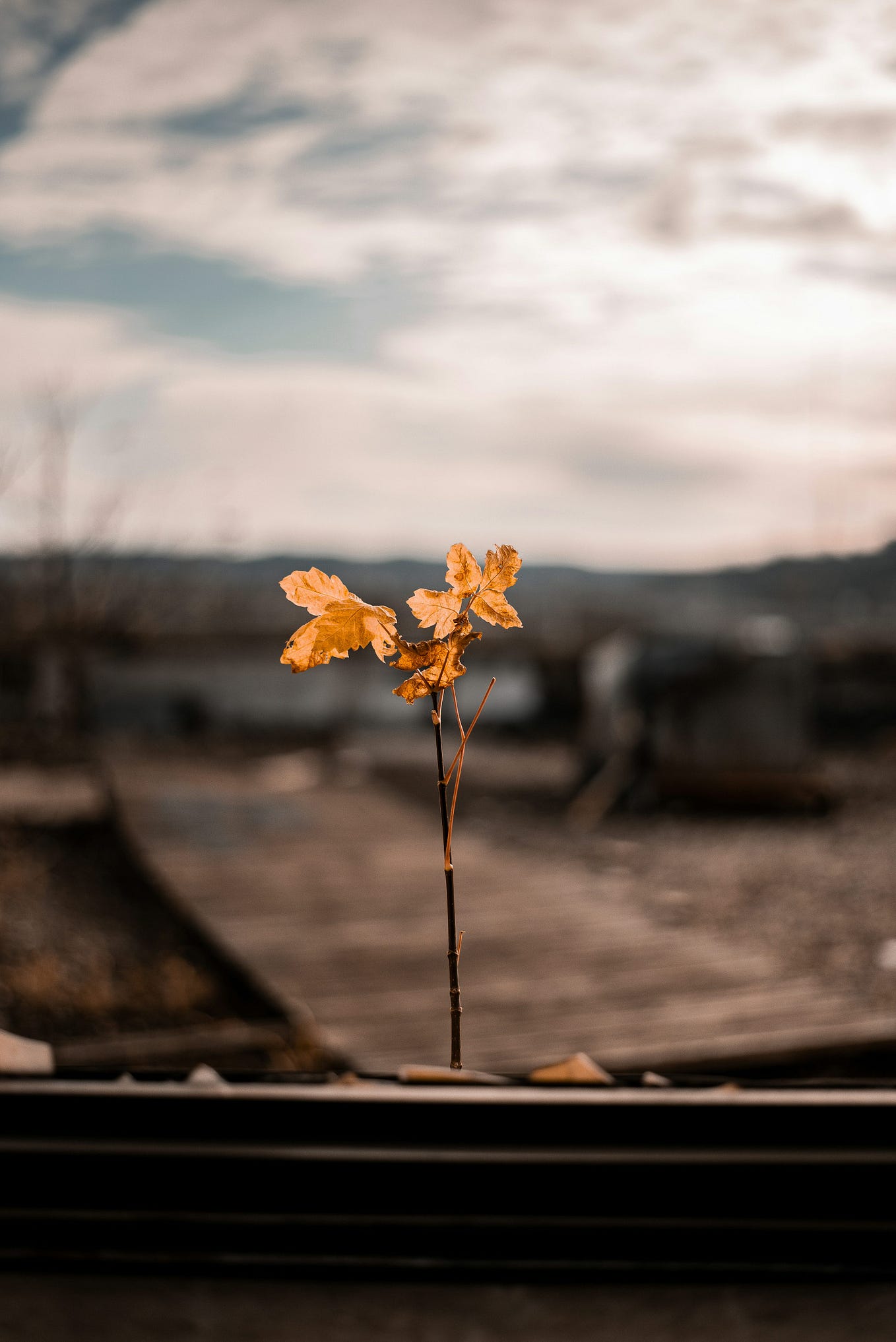 10 Habits of Mediocre People (And How to Avoid It) | by Victor Mong ...