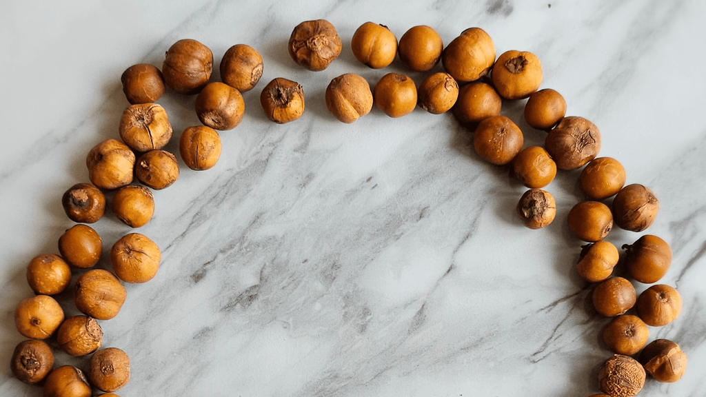 The Magic of Aidan Fruit: West Africa’s Sweet Healer | by Smoky Hazel | Medium