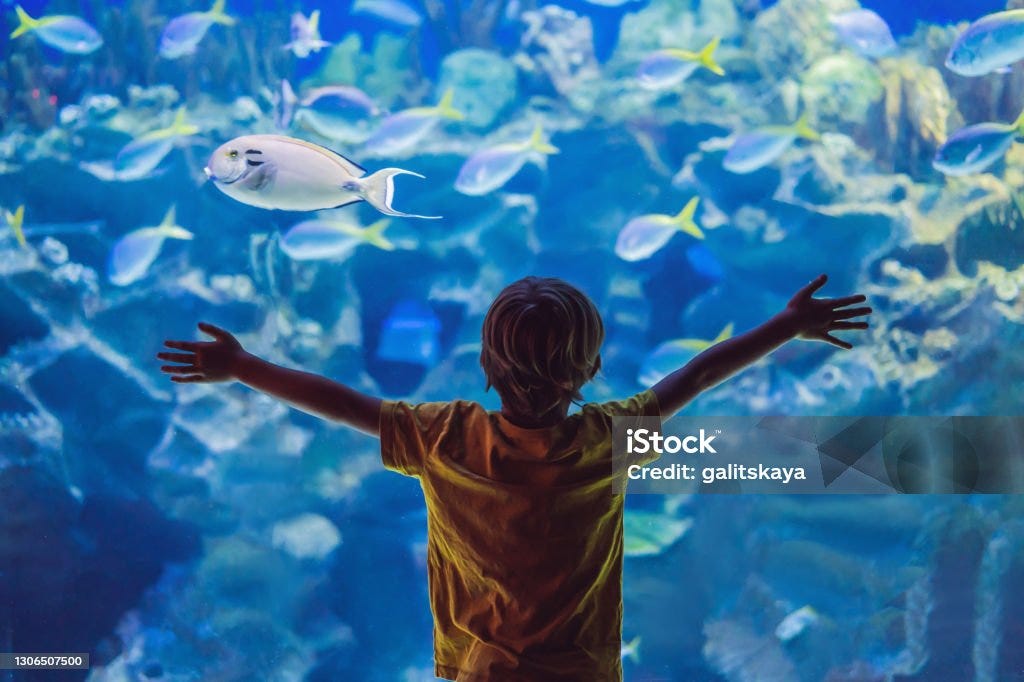 PromptFlow Tutorial Series (Part 1): Quickly build a LLM App via Visual Editor | by Vuong Tung ...