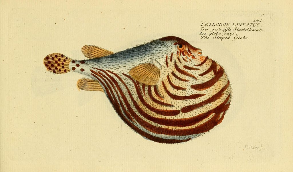 Managing Consumer Commits and Back-pressure With Node.js and Kafka in Production | by Yoni ...