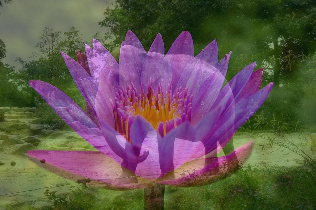 How to visualize your Pytorch model in TensorBoard | by Evgeniya ...