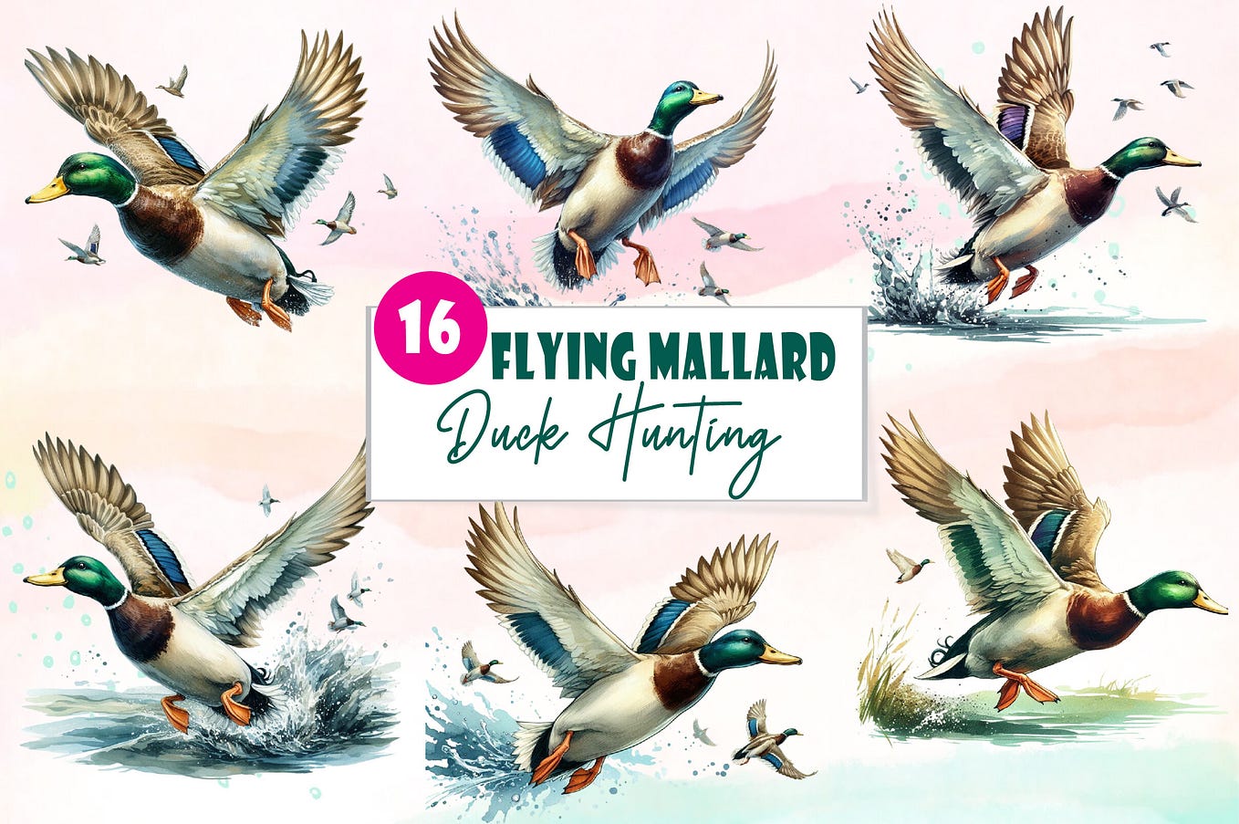 Feather Canva Frames Bundle Free | by Optimisticgill | Sep, 2024 | Medium