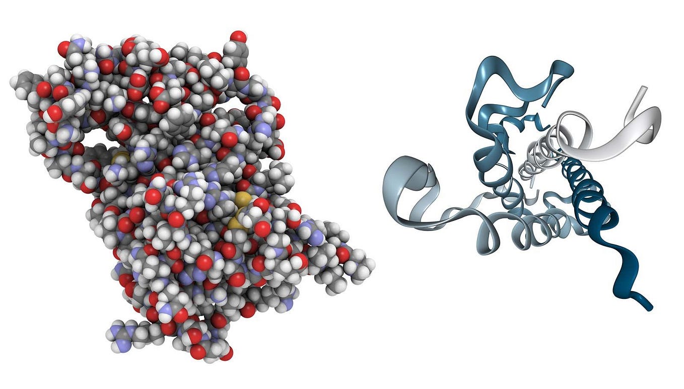What are “Primers”? What is “PCR”? How does Gene Sequencing Work? | by Izabela Ninu | Insights ...