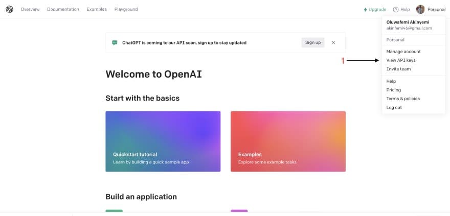 Build a High-Performing Ecommerce with Svelte and Medusa Backend | by ...