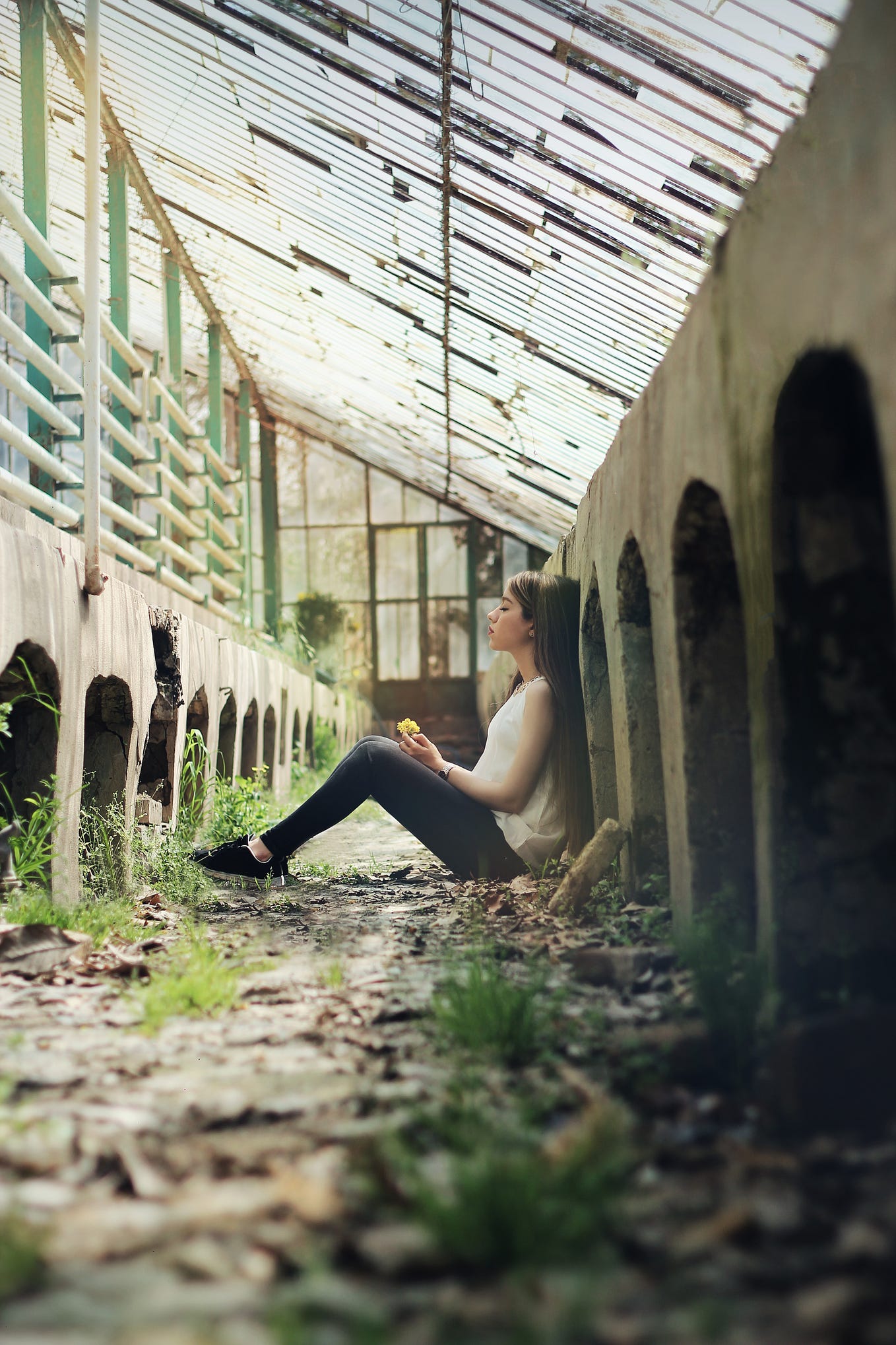Starting a New Self Improvement Challenge — Project 50 | by Arlo Sanchez | Purposeful Growth ...