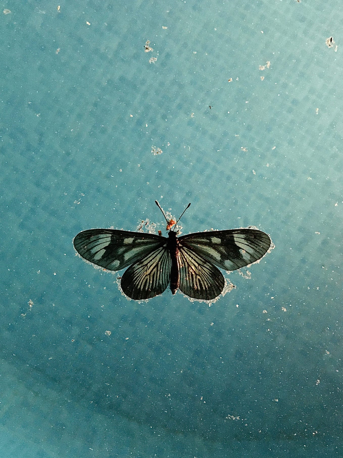 How Data Visualization aids Human Memory | by Aasavari Kaley | Python ...