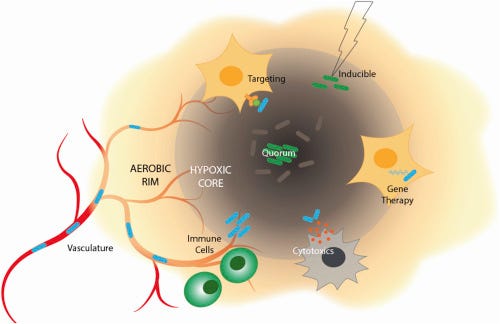 Bio- Bricks: The Lego Of Synthetic Biology | by Sharayu Subhash Awachat ...