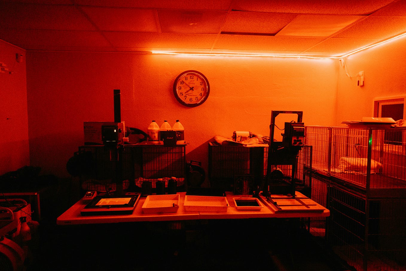 The Importance of Printing Your Photographs | by William Ryan | Full ...