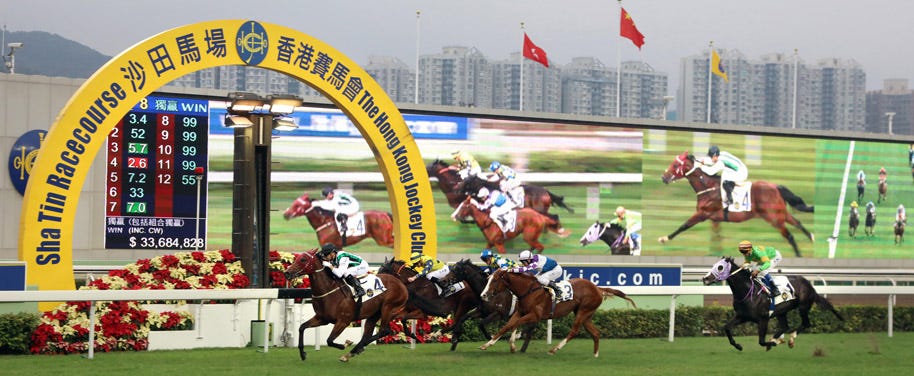 [Data Visualization] Project-Hong Kong Horse Racing Prediction — Part ...