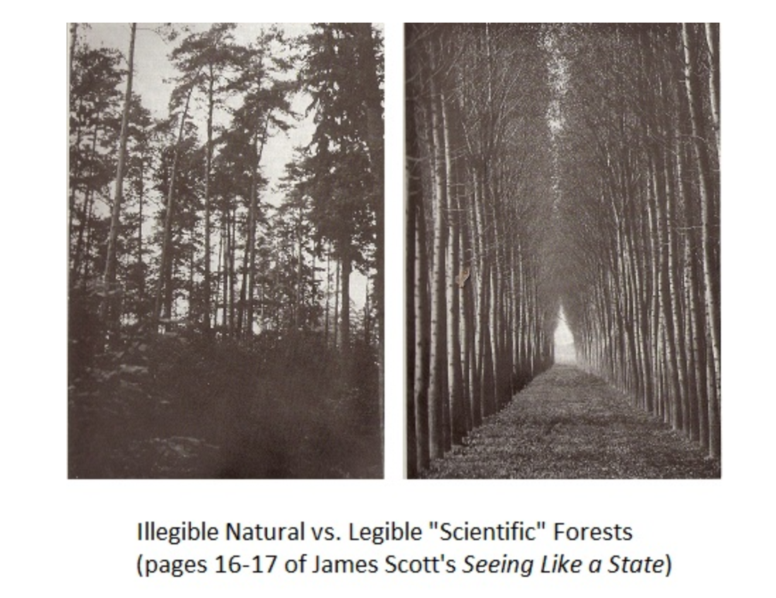 What is ‘community’ and why is it important? | by Toby Lowe | Centre ...