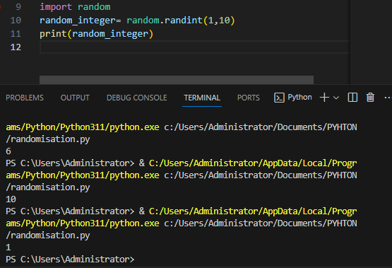How to Analyze Data Using SQL with XAMPP | by Daniela Garcia | Medium