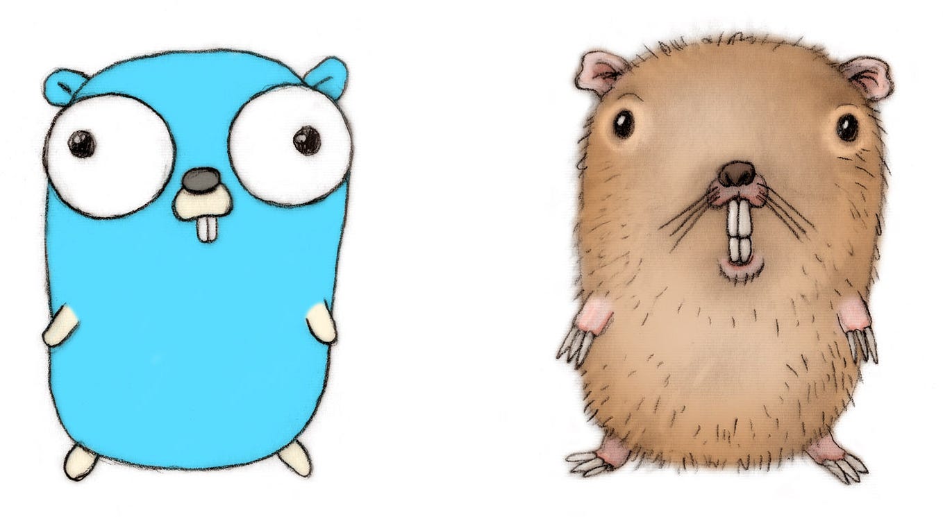 Golang Naming Conventions. Let us talk about one of the… | by Israel ...